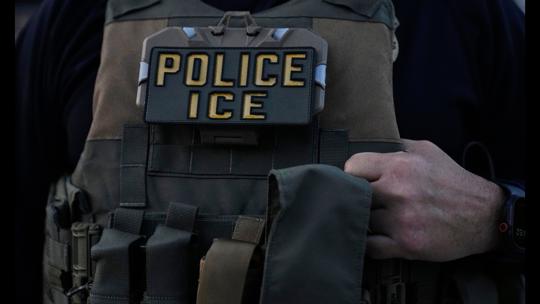 Border Patrol agents involved in fatal shooting of Alex Pretti placed ...