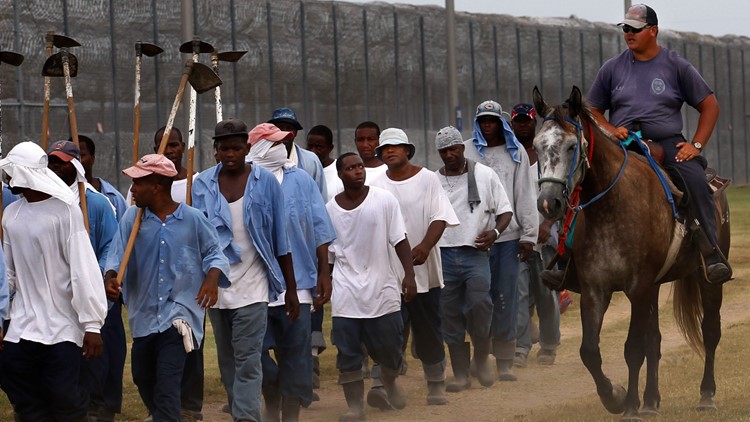 Prisoners part of hidden workforce linked to popular food brands ...