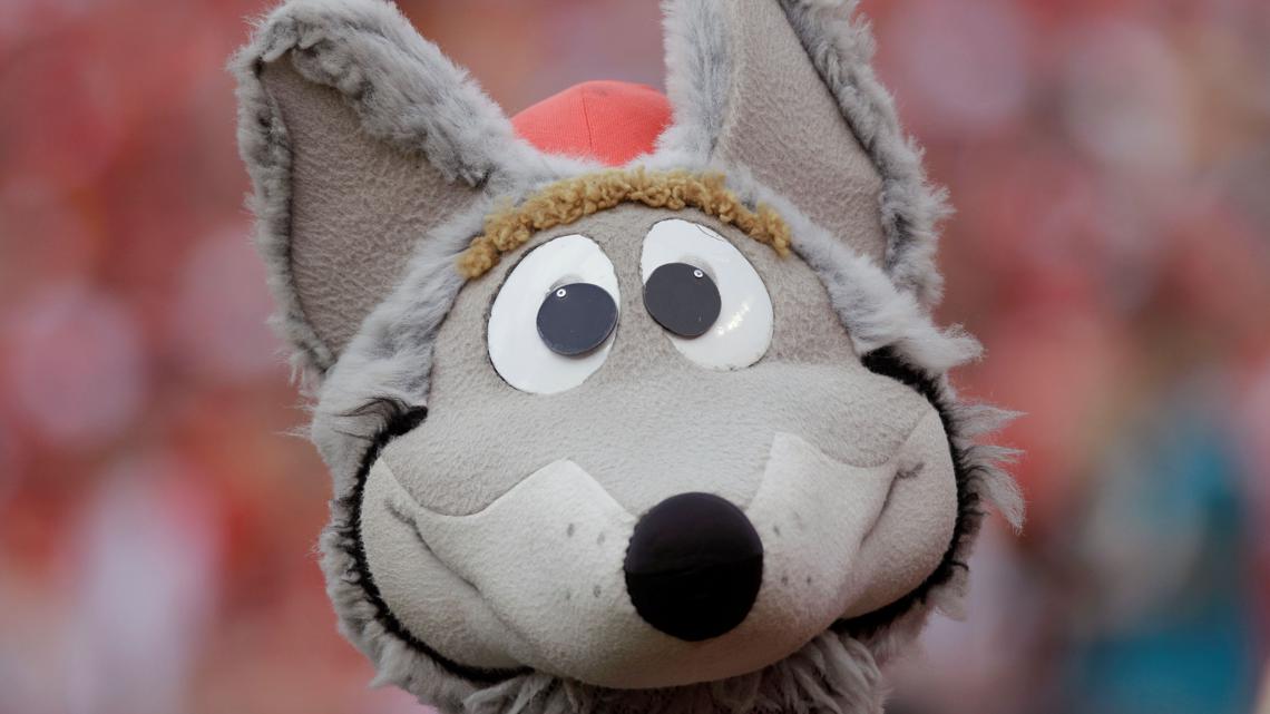 Why is the Kansas City Chiefs mascot a gray wolf? | kens5.com