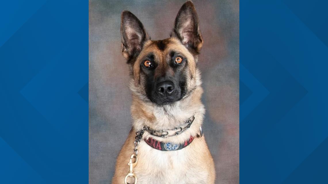 Waco, TX: DPS mourns the loss of K-9 Athena | kens5.com