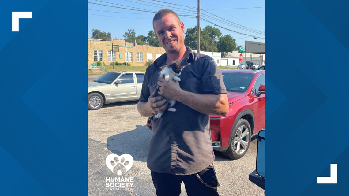 Waco, Texas mechanic saves kitten from inside engine of car | kens5.com