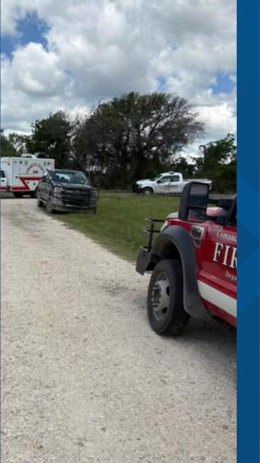 Comanche, TX: Three horses die after bee attack | kens5.com