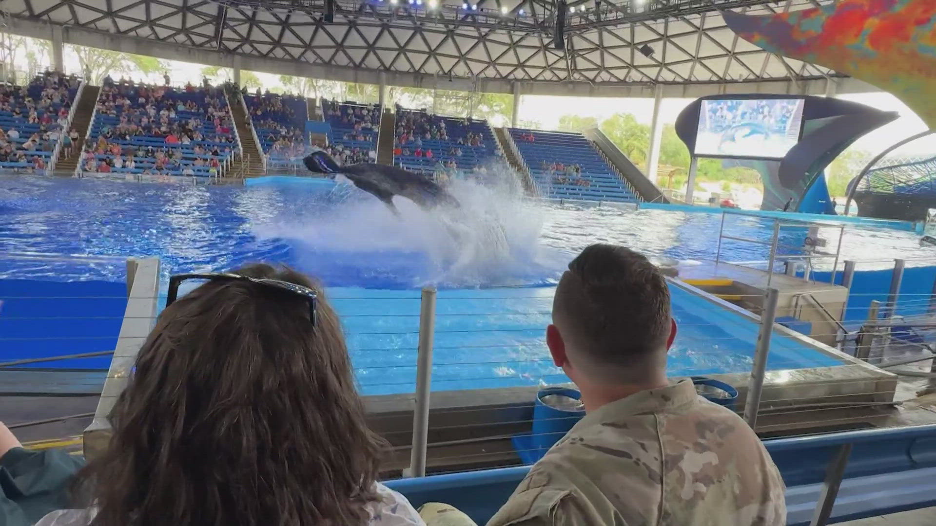 Army sergeant takes re-enlistment oath at SeaWorld during Orca ...