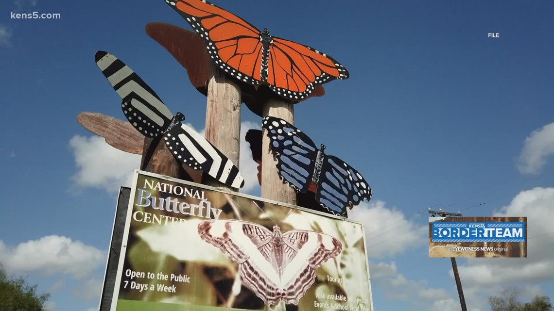 'I’ve become suspicious of everyone else': South Texas’ National ...