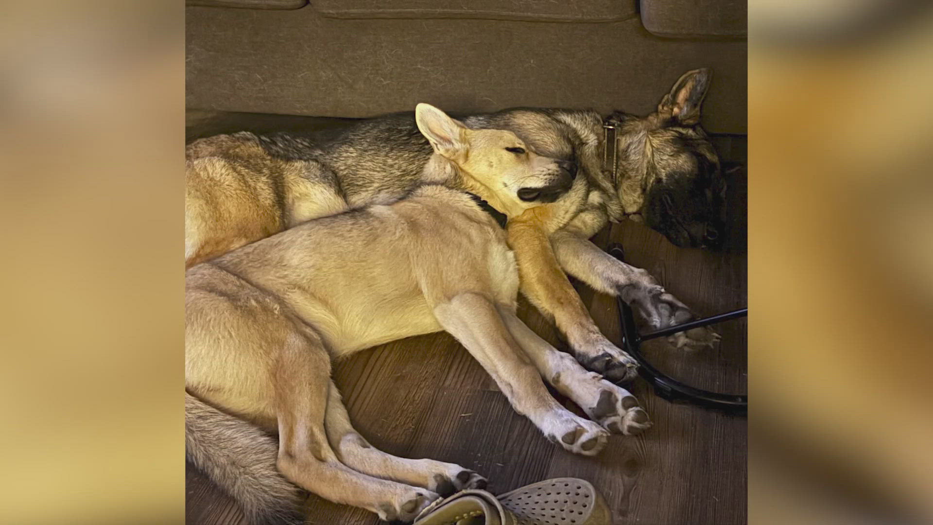 SAPD: Man assaulted, car stolen during early morning robbery on south ...