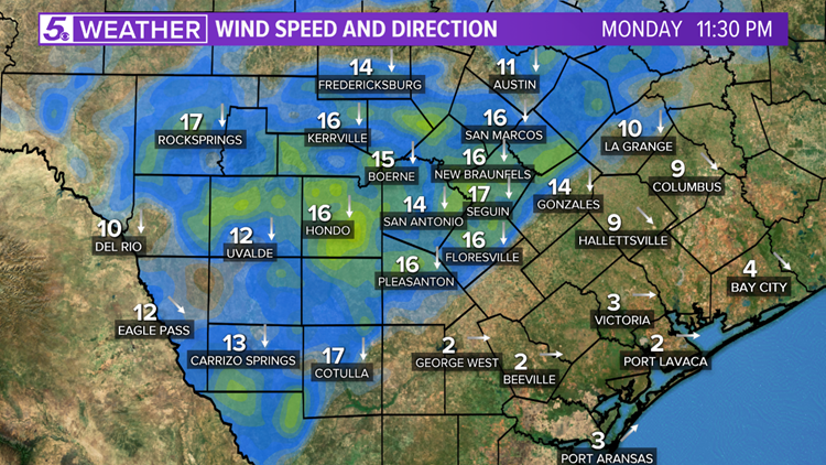Cedar Fever: Why has mountain cedar been so bad recently? | kens5.com