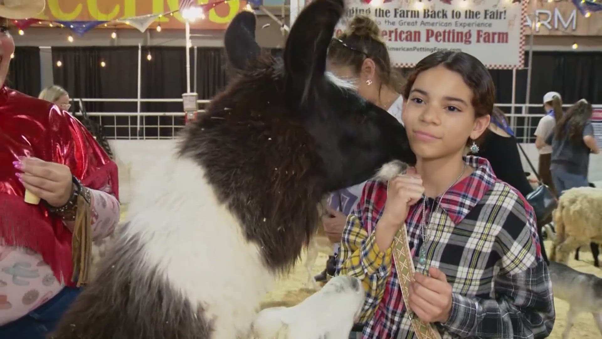 Complete guide to the 2025 San Antonio Stock Show and Rodeo | kens5.com