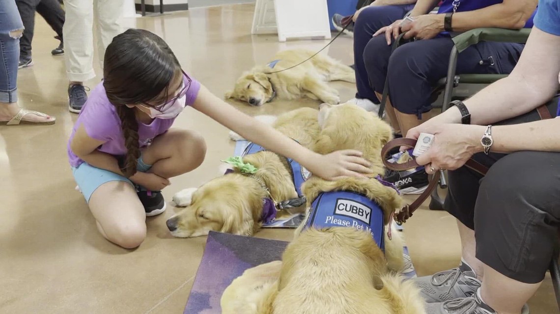 Team of comfort dogs are sent to Uvalde | kens5.com
