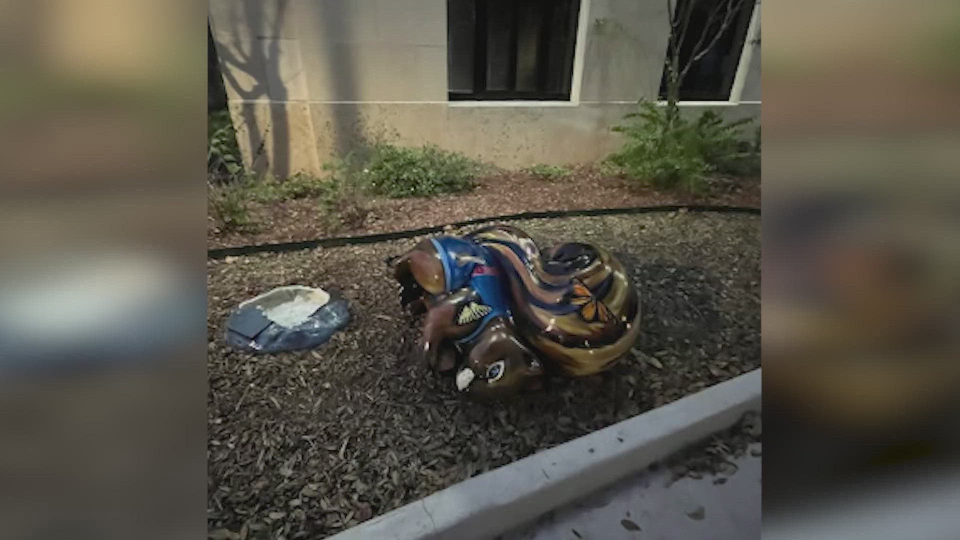 Seguin police seek suspects in vandalism of 'Wendy the Squirrel' statue ...