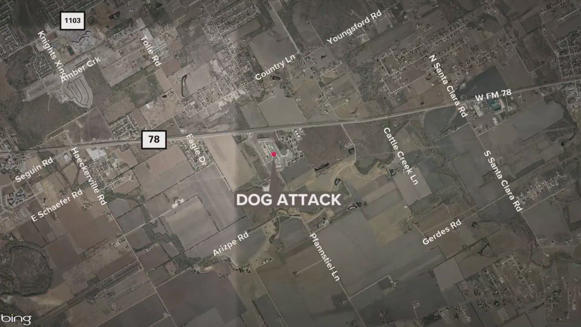 Cibolo officer fatally shoots dog during attack, placed on leave ...