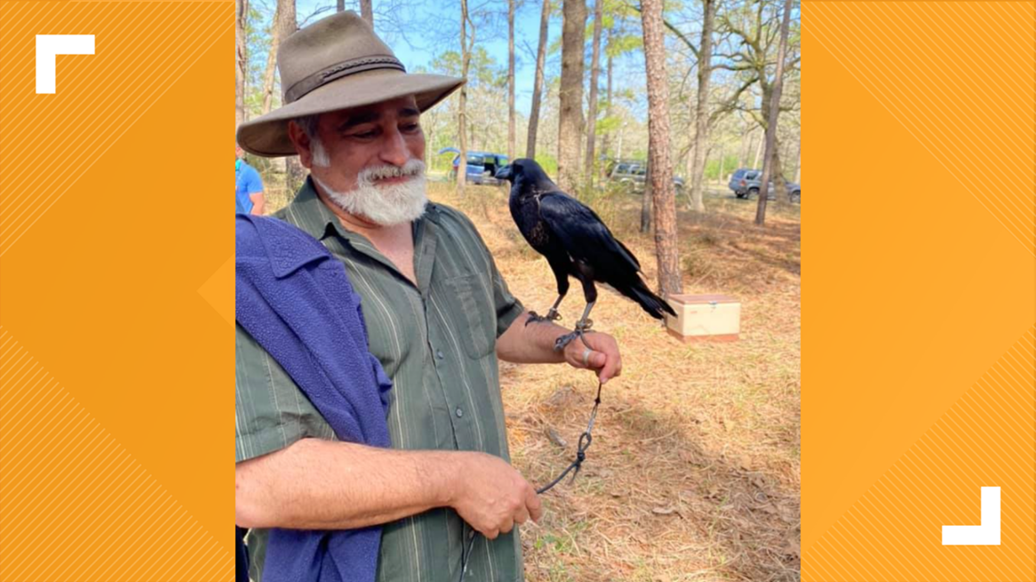 Owner reunited with missing raven who took off before educational show ...