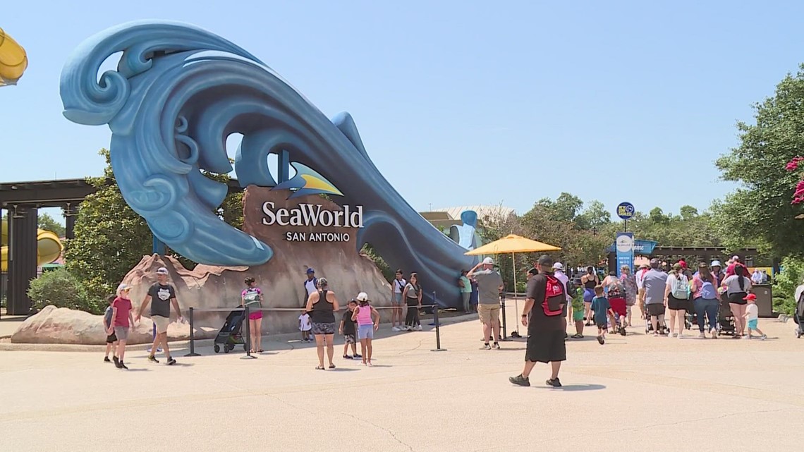 SeaWorld celebrates 60th anniversary with discounted specials ...