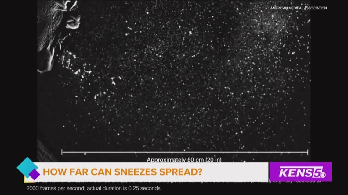 GREAT DAY SA: The Danger of Sneeze Particles | kens5.com