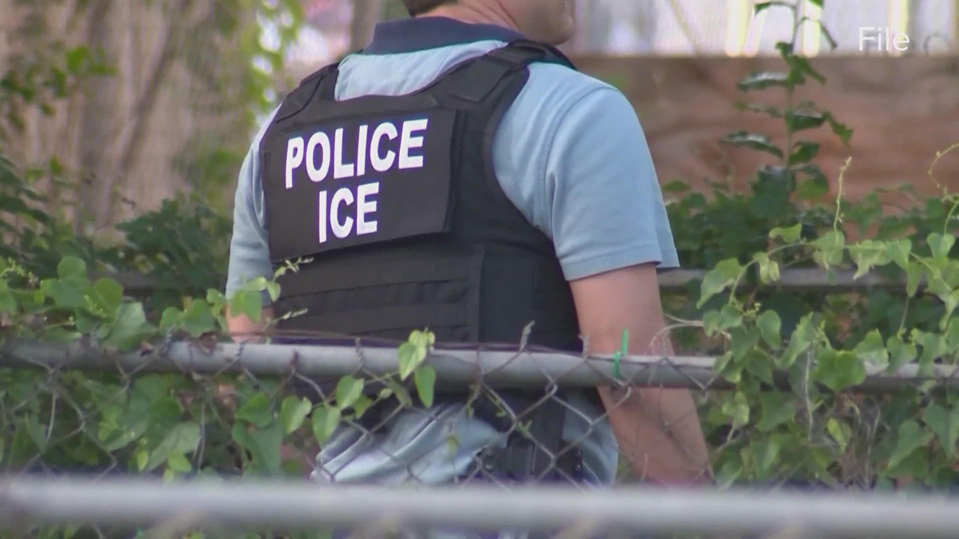 New details revealed into San Antonio Police Department's cooperation ...