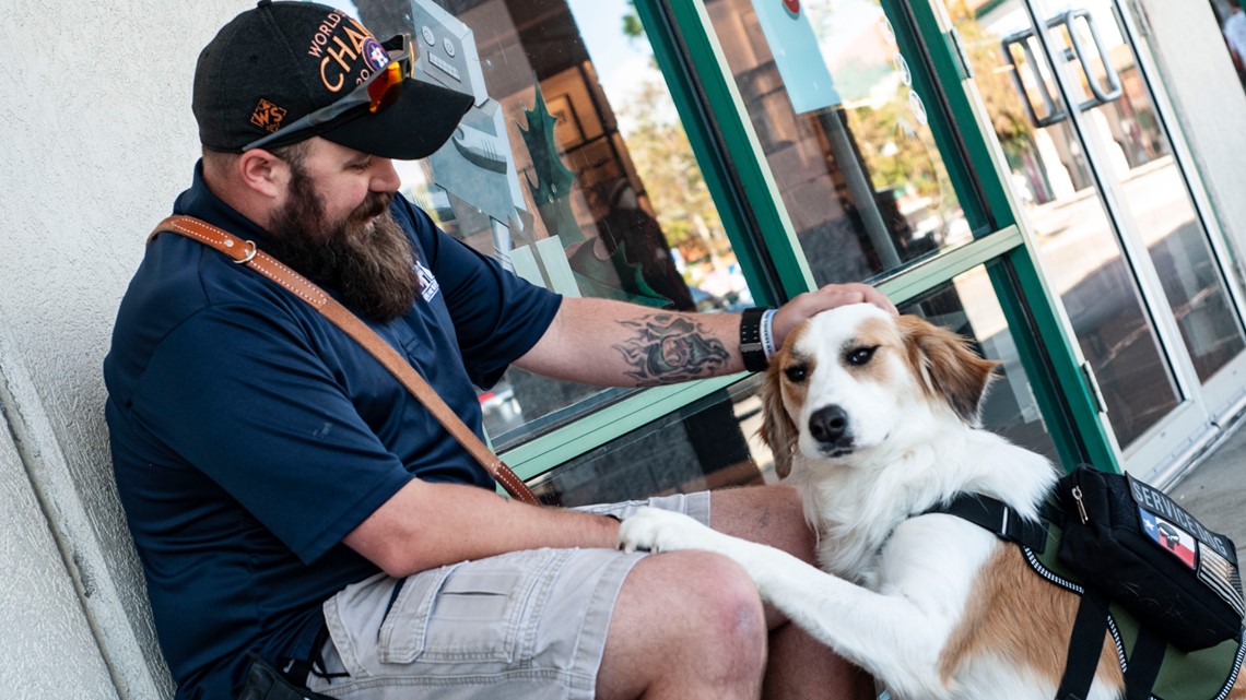 K9s For Warriors: Service dog and Army veteran develop bond | kens5.com