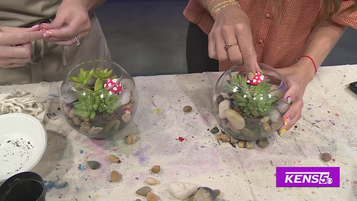 Succulent Garden Classes for your Teens | Great Day SA | kens5.com