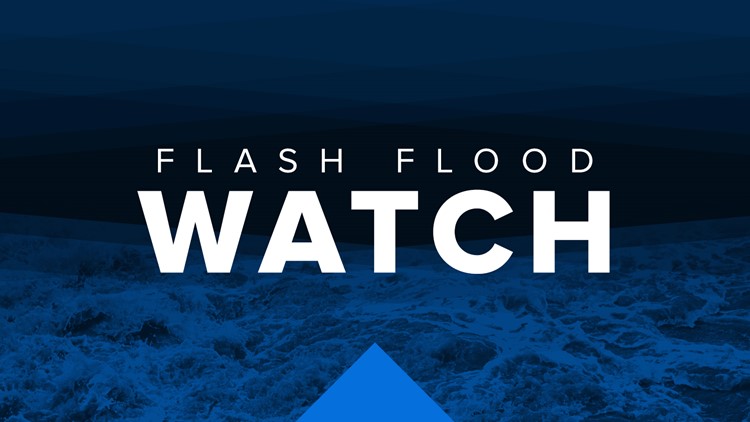 Flash flood watch announced, tropical system to make landfall Friday ...