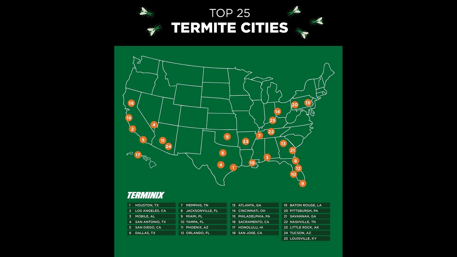 San Antonio among most termite-infested cities in the U.S. | kens5.com
