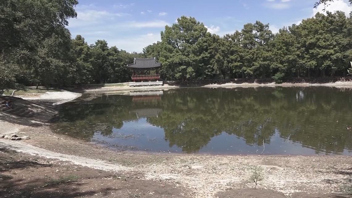 Denman Estate Park project delayed, wildlife struggling to survive ...