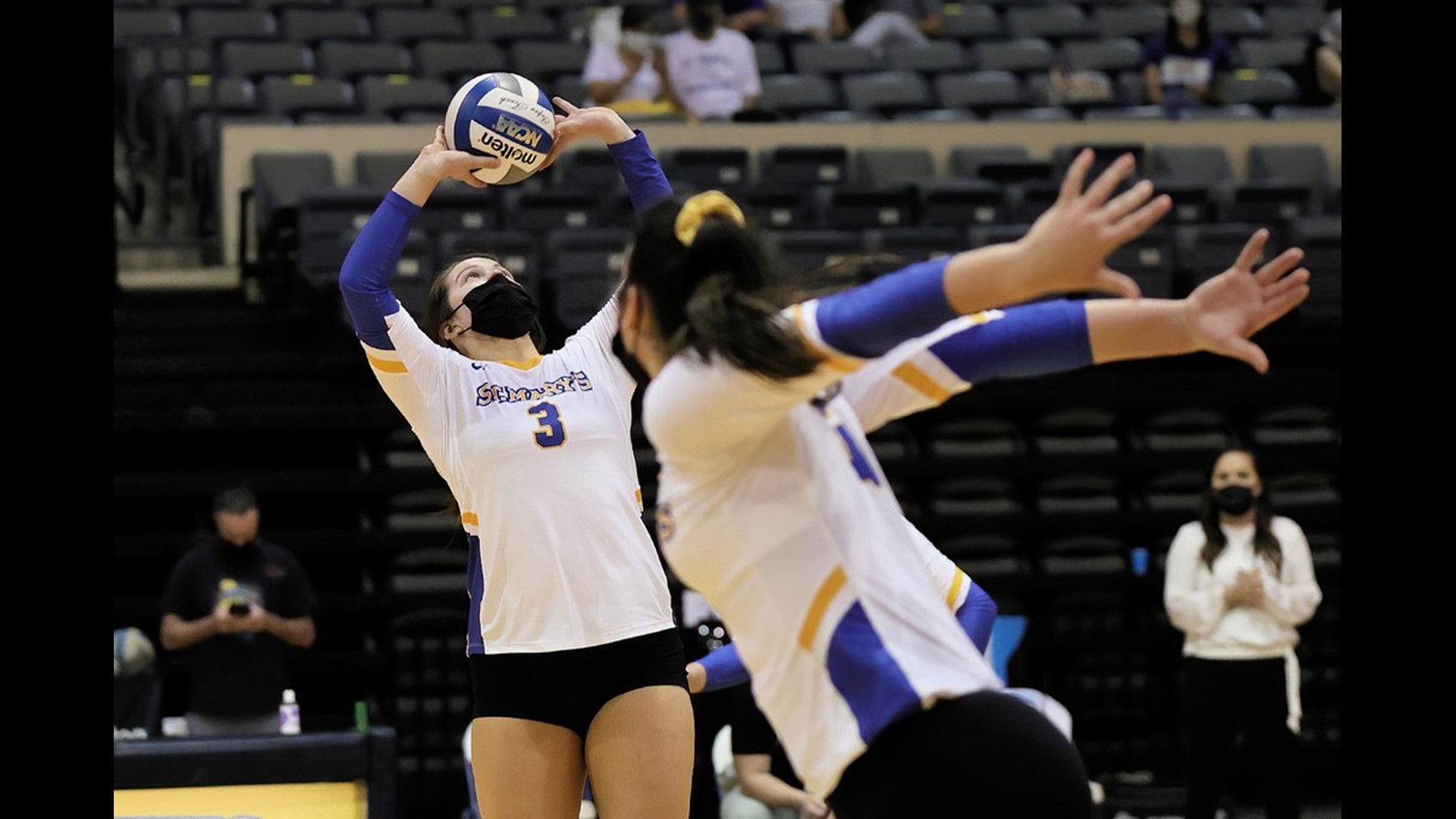 Texas A&M University Kingsville vs. St. Mary's University volleyball ...