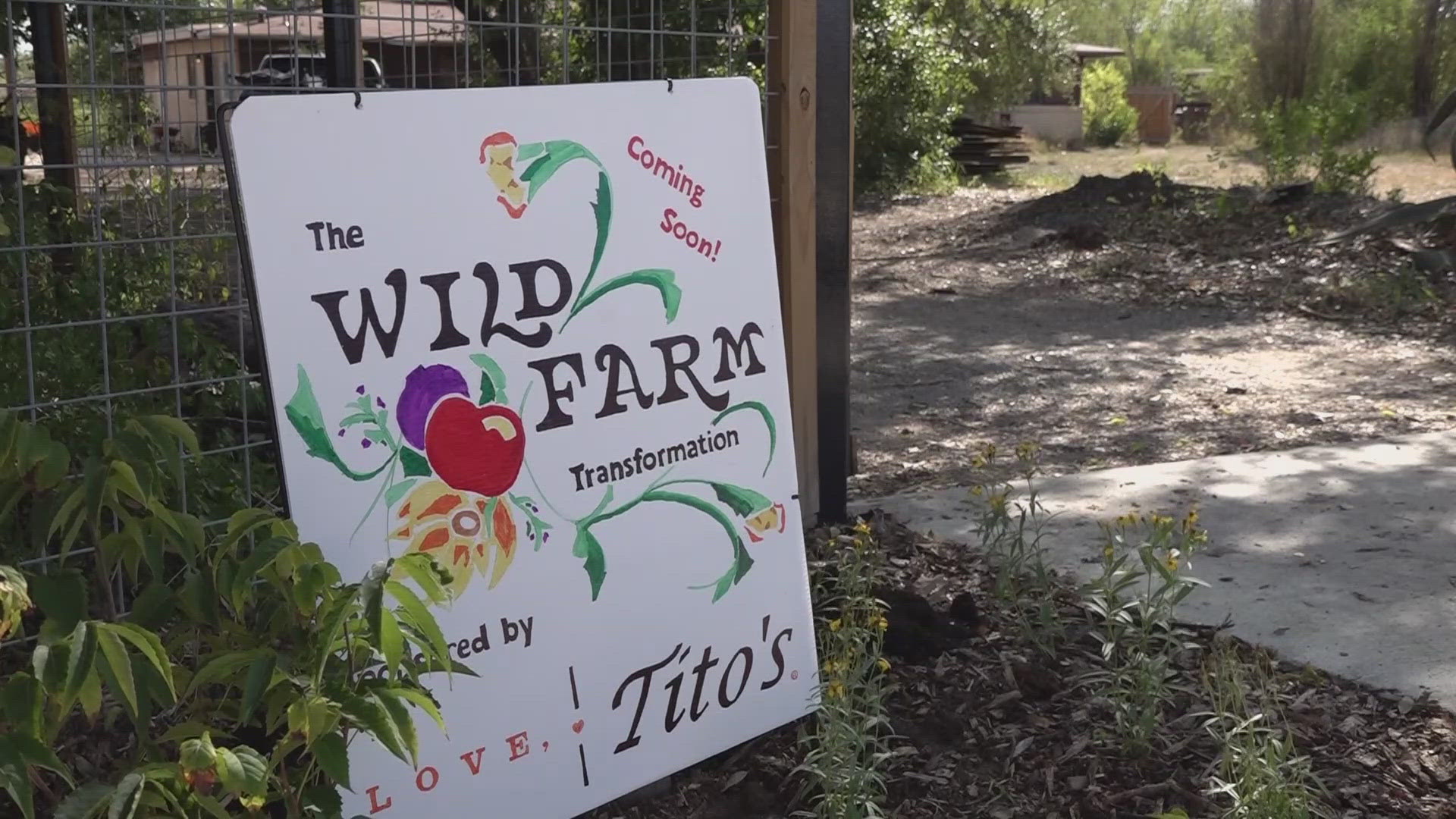 Women thrive at The Wild Farm SATX: Empowering urban agriculture skills ...