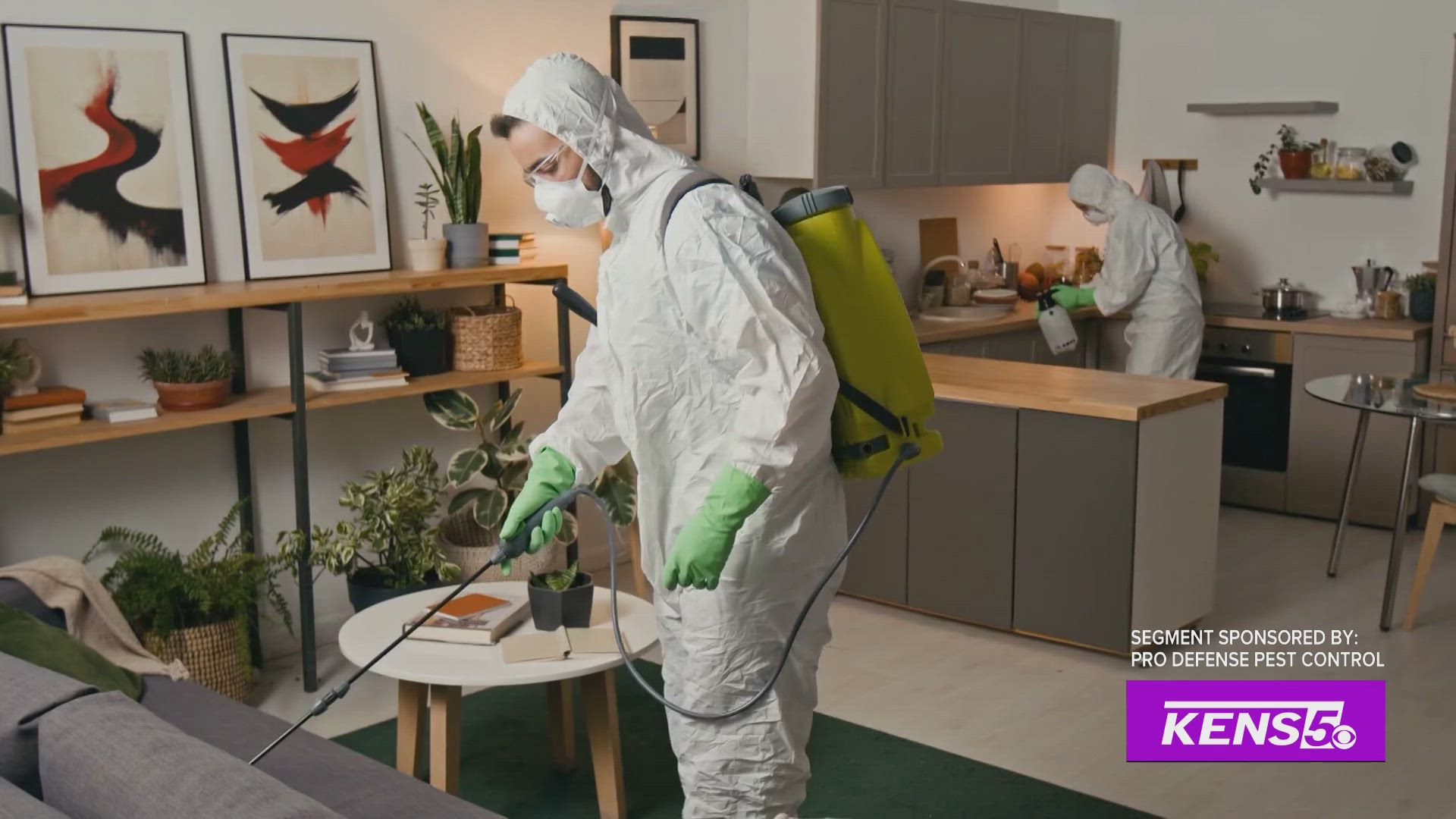 Pro Defense Pest Control | Great Day SA | kens5.com