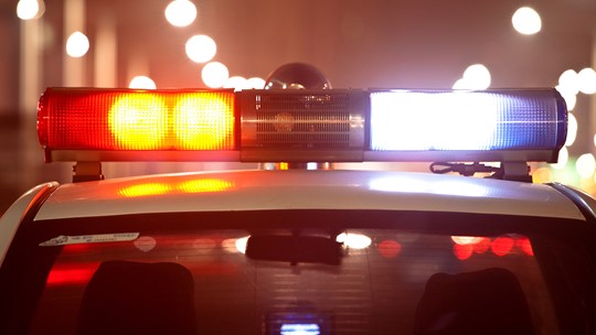 Man accused of shoplifting, throwing rock at employee arrested on west ...