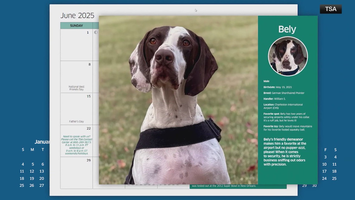 TSA unleashes 2025 K9 calendar | kens5.com