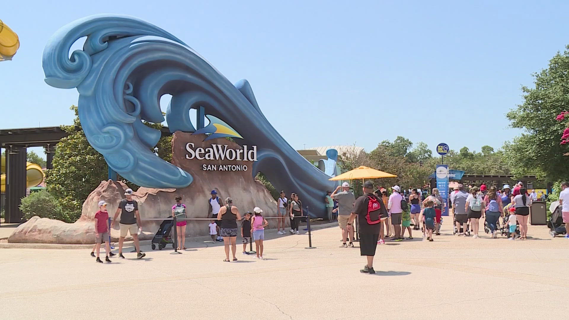 Texas teachers and preschoolers can get into SeaWorld for free in 2025 ...