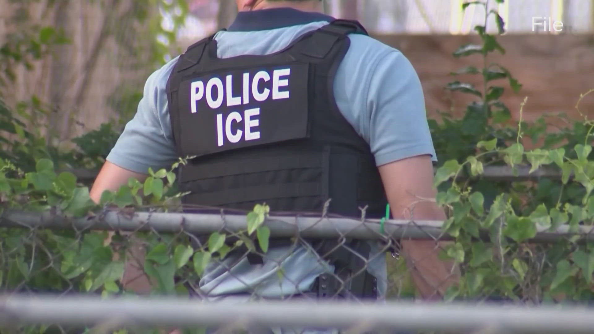 How many times has SAPD helped ICE this year? Department begins ...