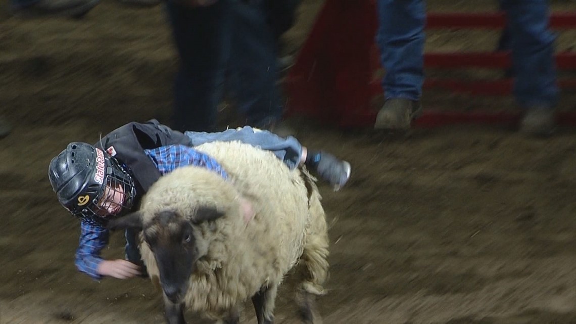 Mutton buster scores a whopping 91 points in triumphant Thursday ride ...