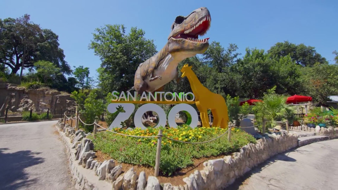 San Antonio Zoo: Cheap admission on Saturday for Locals Day | kens5.com