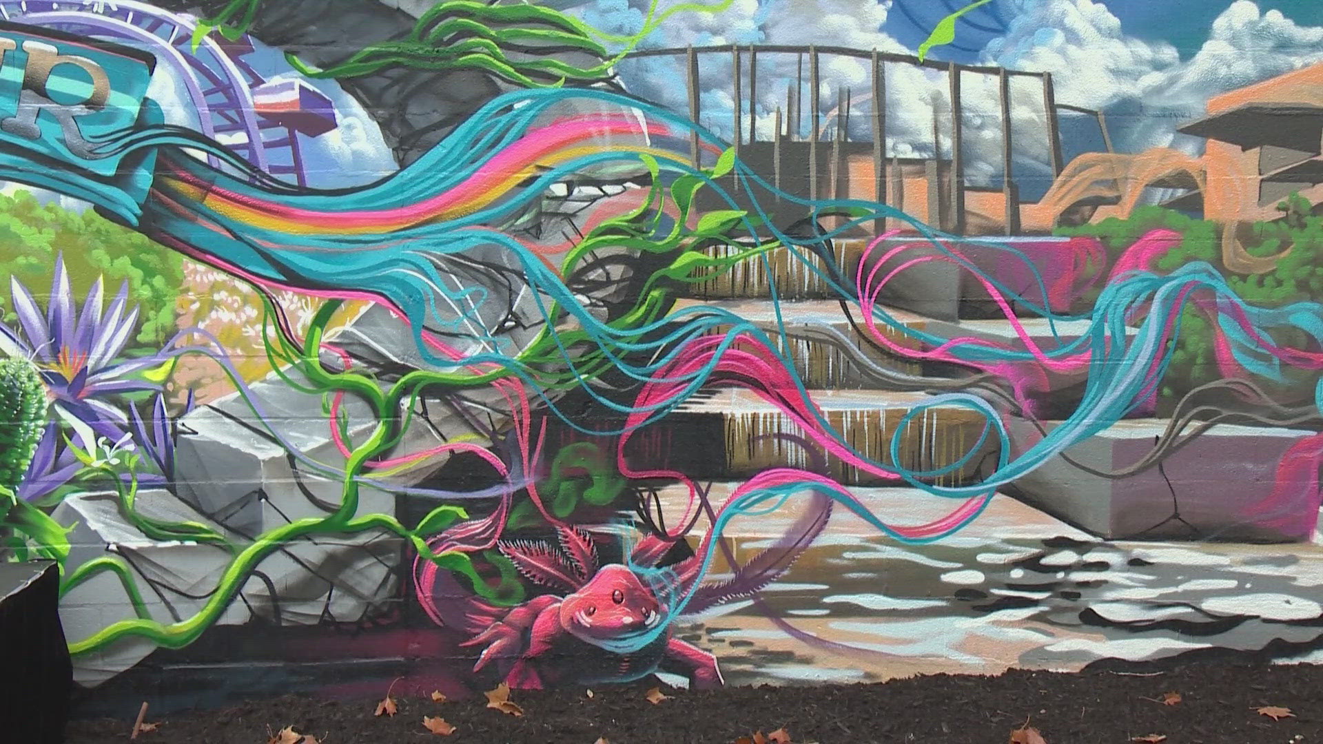 Centro San Antonio, Hemisfair working together on 'Art Everywhere ...