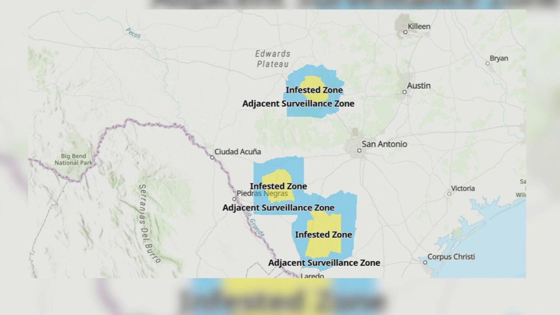 Counties under quarantine amid Texas New World screwworm outbreak ...
