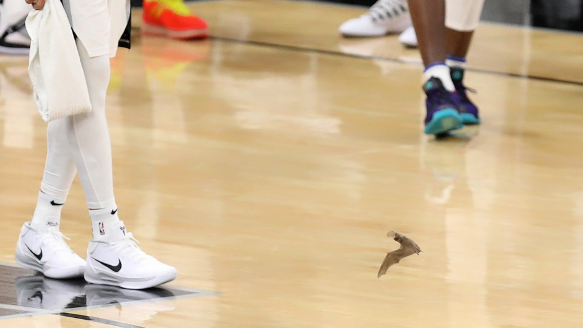 Bats interrupts first quarter of Spurs-Nets at AT&T Center | kens5.com