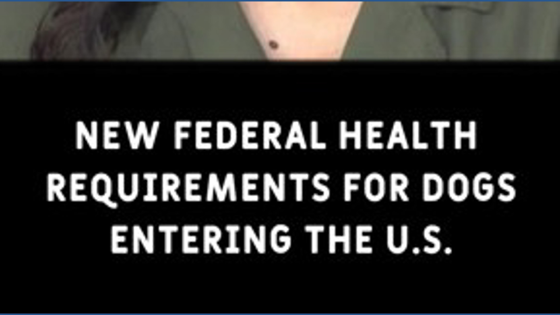New federal health requirements for dogs entering the U.S. | kens5.com
