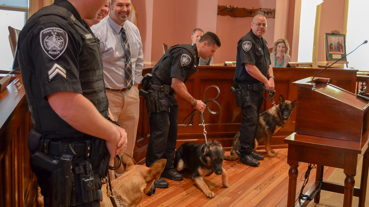 5 puppies join Comal County Sheriff's Office K-9 program | kens5.com