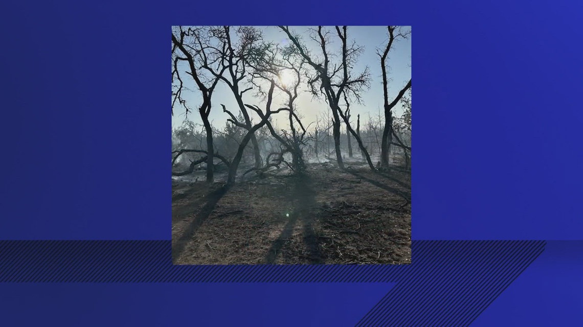 It took crews 150 hours to fully contain Crabapple fire in ...