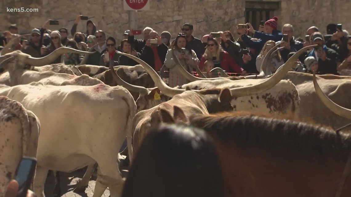 San Antonio Rodeo returns: Here's everything you need to know | kens5.com