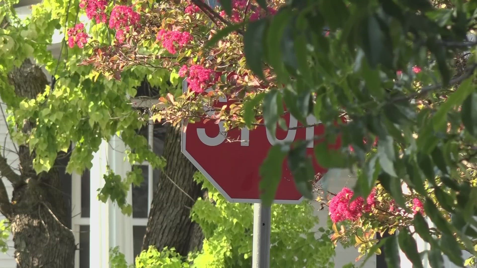 VERIFY: Is it the homeowner’s responsibility to clear their overgrowth ...