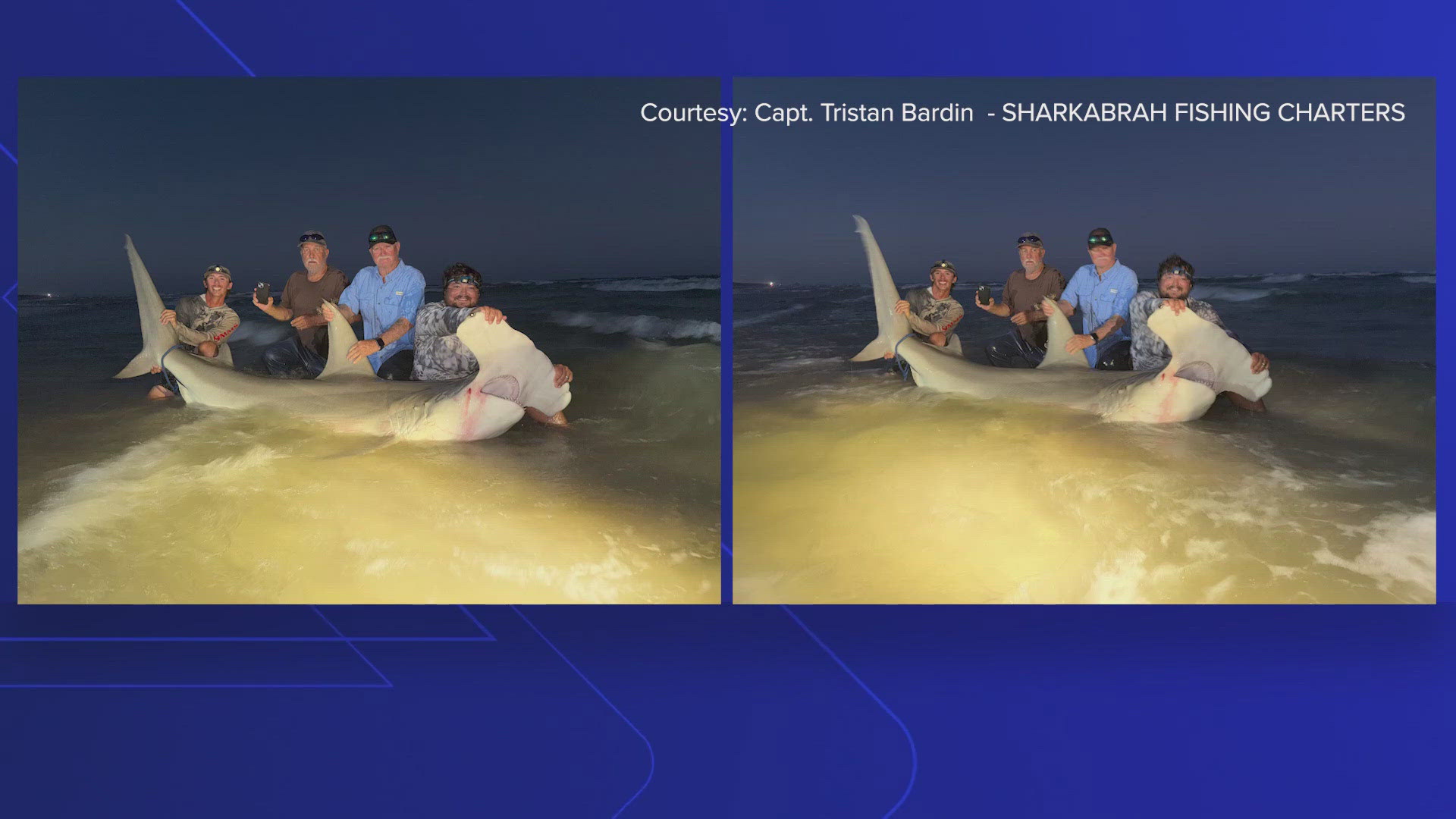 Massive hammerhead caught off Corpus Christi coast | kens5.com