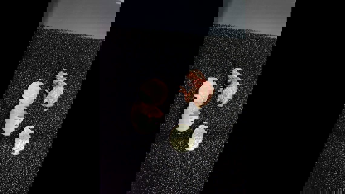 San Antonio Zoo welcomes record-breaking pygmy falcon chick | kens5.com