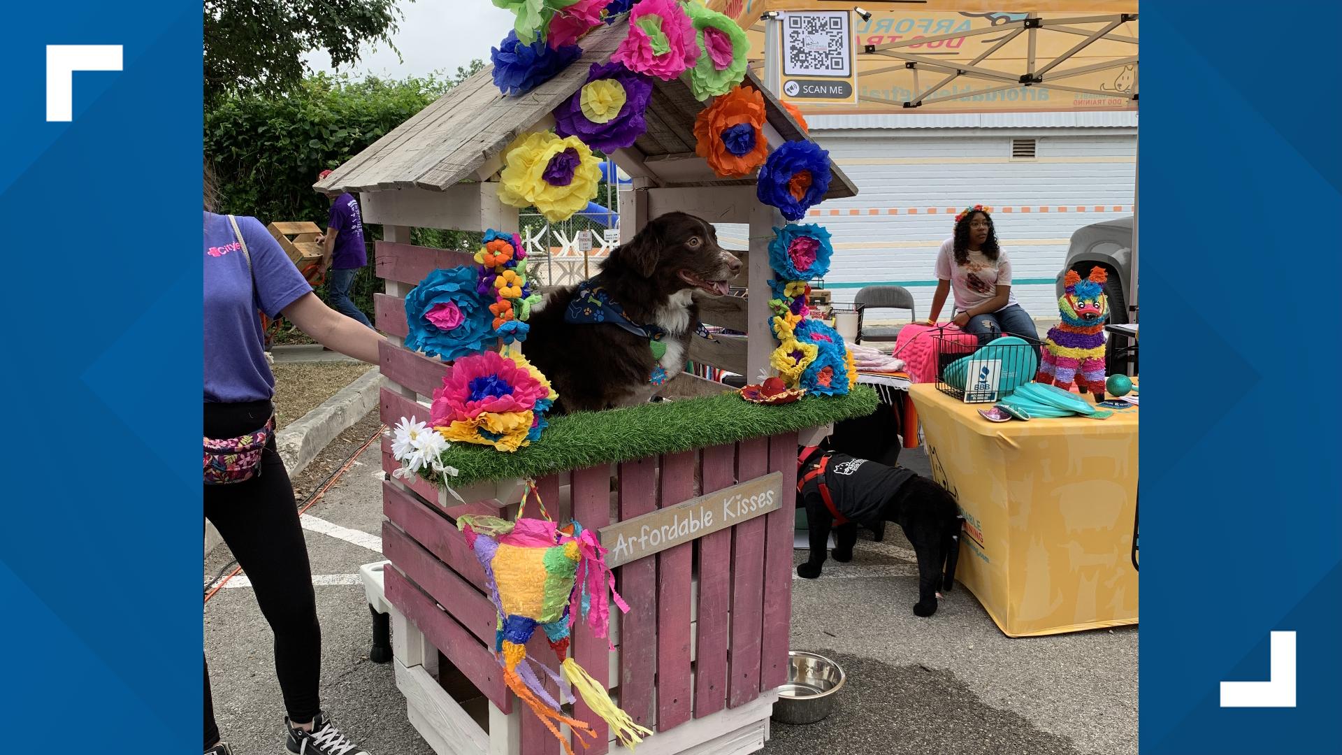 The only parade for our four-legged friends | Fiesta Pooch Parade ...