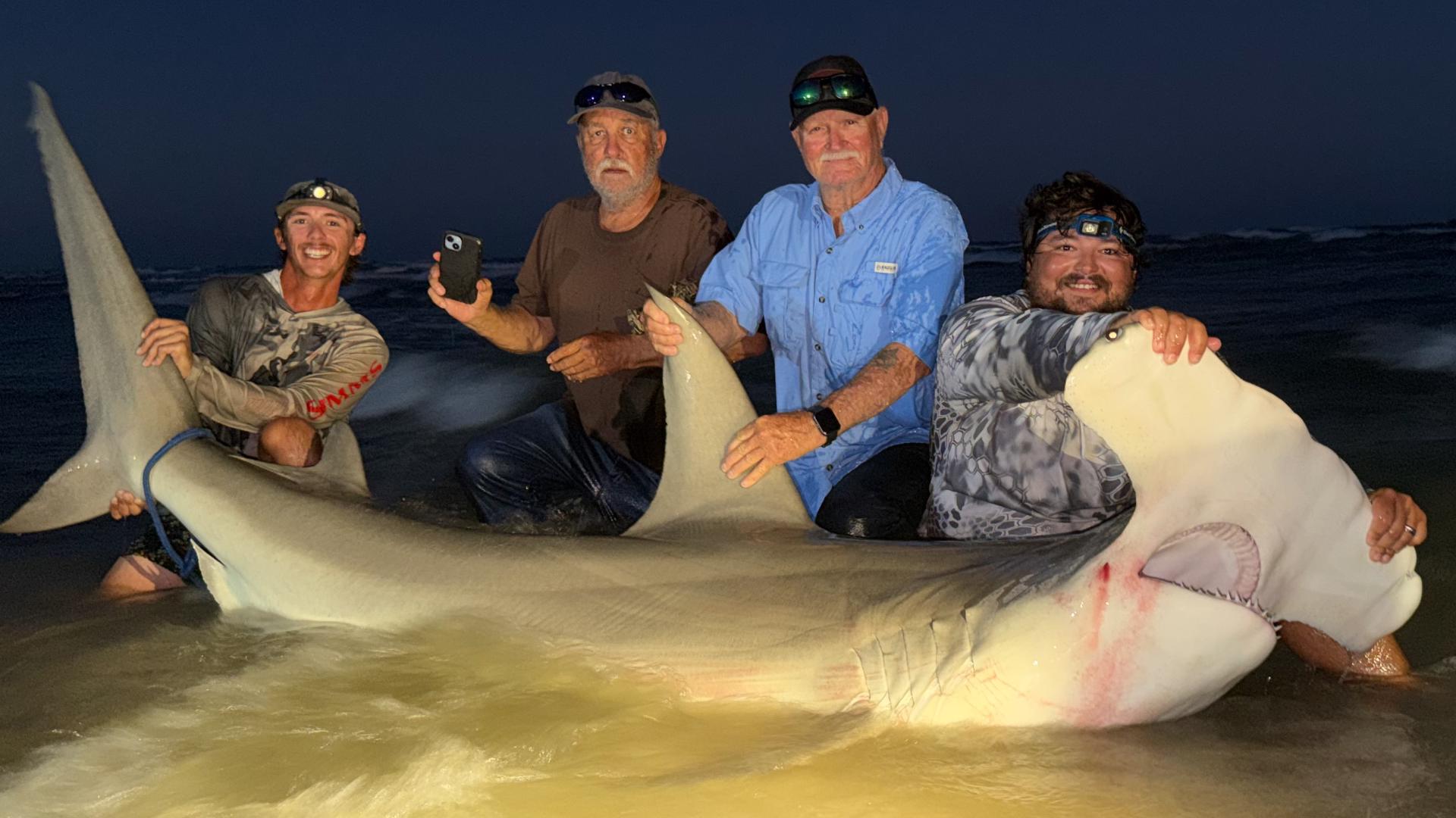 Nearly 11-foot hammerhead shark caught south of Bob Hall Pier on Texas ...
