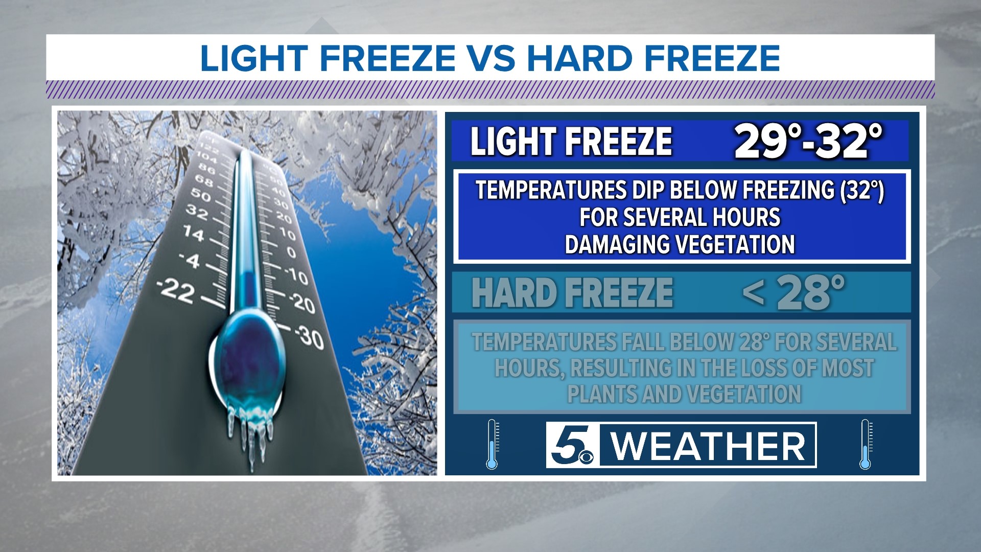 Freezing temps will persist in San Antonio for days. Here's what you ...