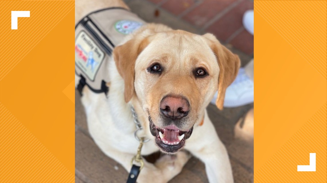 BAMC facility dog, Budd, to be honored with military rank of Major ...