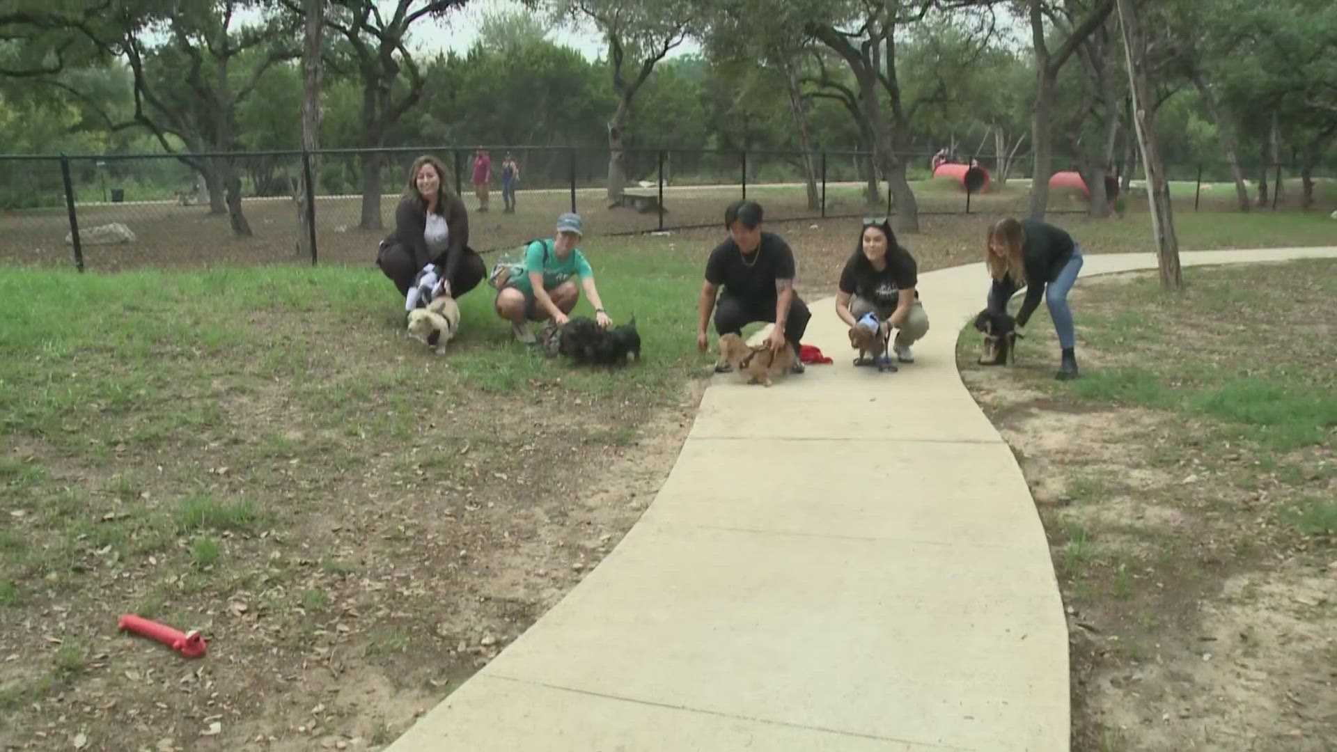 Rockin' Race Day: From Doxies to Derby | Great Day SA | kens5.com