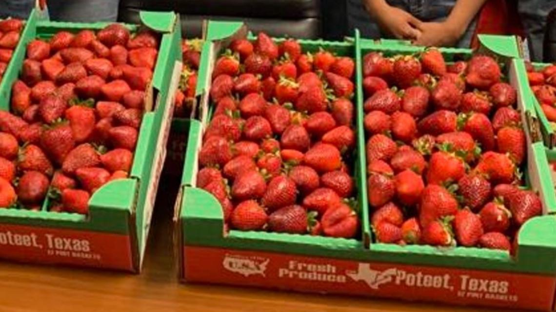 78th Poteet Strawberry Festival: Your Guide | kens5.com