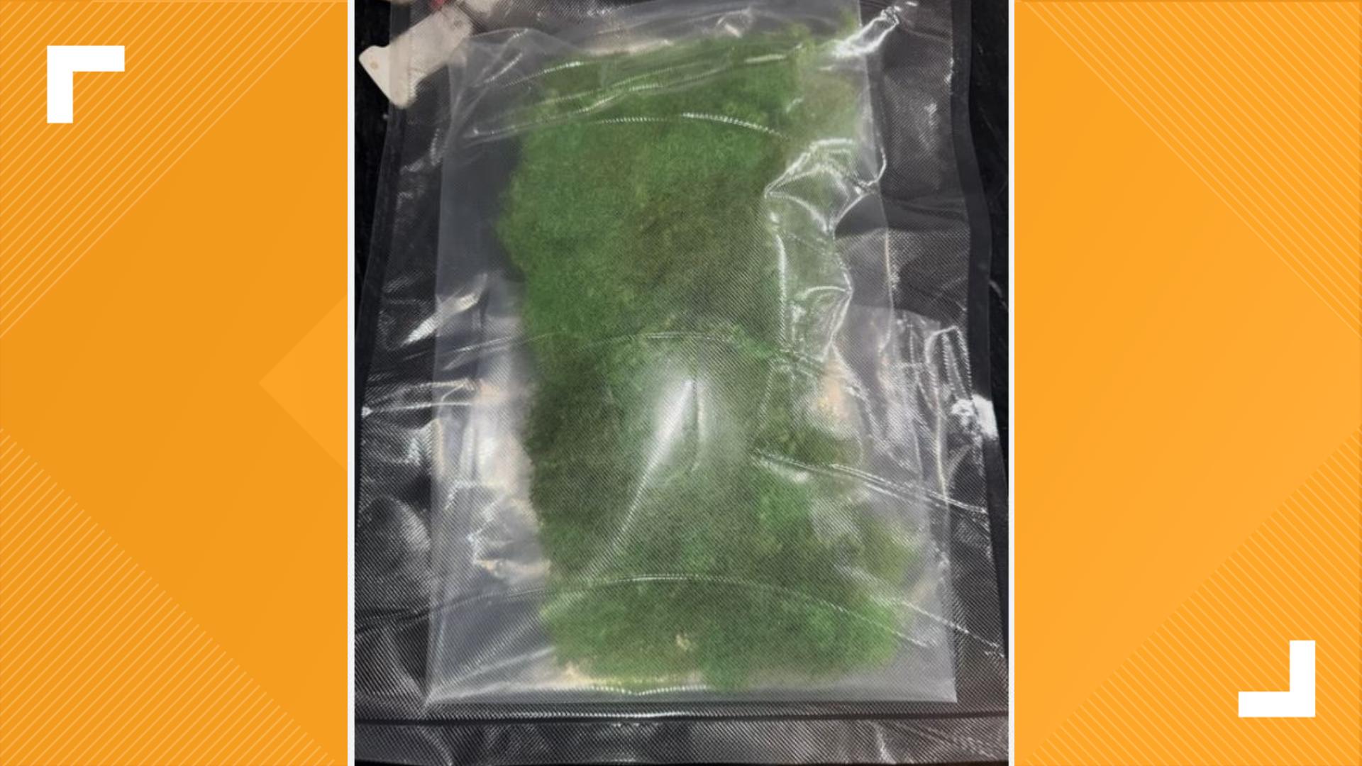 Jeremy Sochan's green hair up for auction on eBay | kens5.com