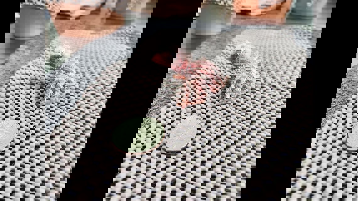 San Antonio Zoo welcomes record-breaking pygmy falcon chick | kens5.com